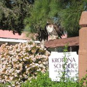 Contact Us – Krotona Institute of Theosophy